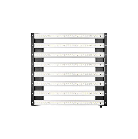 Flasher 100 Gs Rootster Rootster