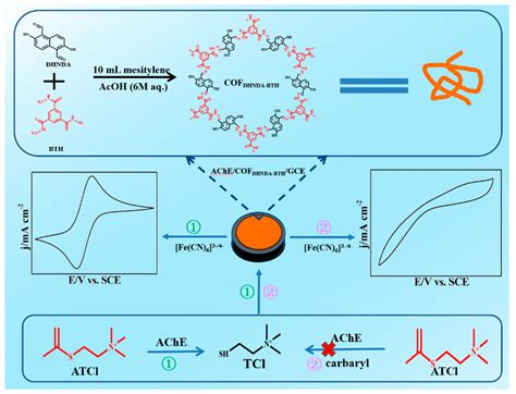 Biosensors Free Full Text A Novel Paper Based Electrochemical Biosensor Based On No Rich