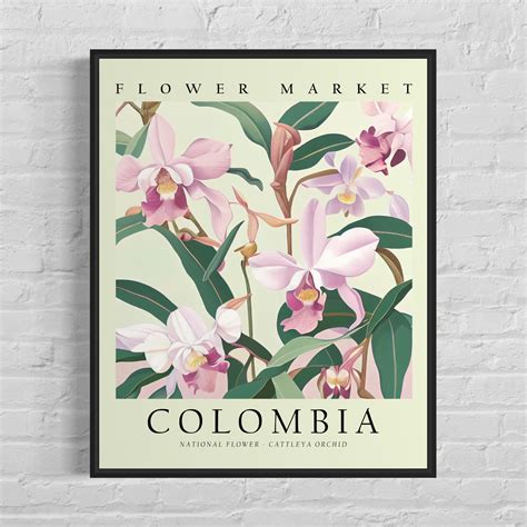 Catalina Flowers Colombia