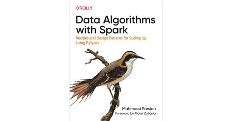Data Algorithms With Spark Book