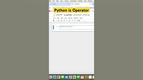 Python Identity Operator Programming Pythontutorial