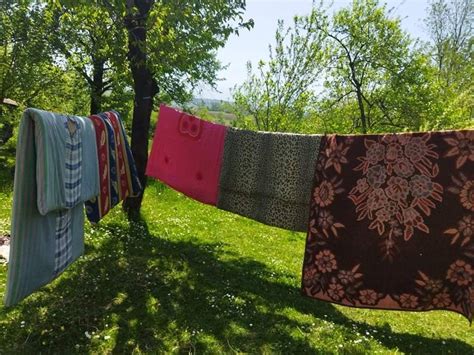 ჭრელა ჭრულა 🌾☀️ Terjola • თერჯოლა