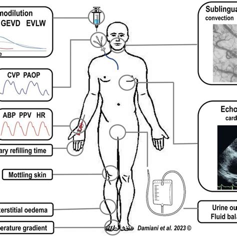 Integration Of Sublingual Microcirculatory Monitoring With A Complete Download Scientific