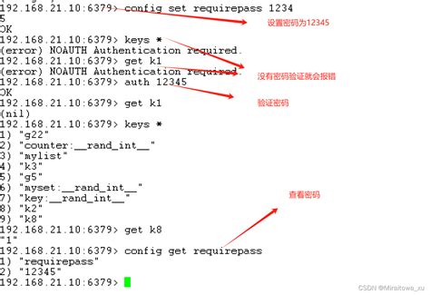 redis的基础操作 redis数据库操作 csdn博客