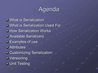 Net Serialization PPTX Programming Languages Computing