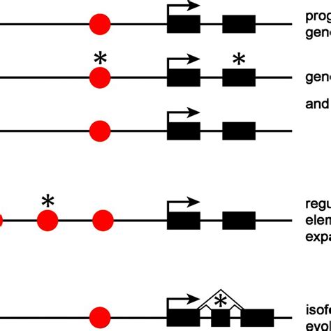 Pdf Cis Regulatory Evolution And Bioinformatics