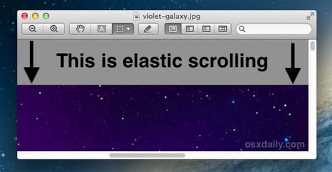 Disable Bounce Effect · Issue 6 · Xtools At Ios Pwa Wrapper · Github