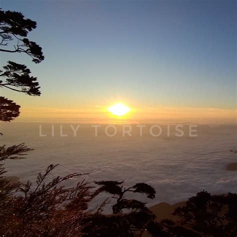 南疆聖山 北大武喜多麗斷崖兩天一夜 健行筆記