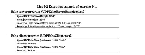 The Babes Create An Echo Client Program That Sends Chegg Com