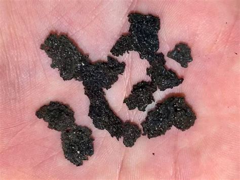 Etna Lapilli On The Palm Of The Hand Photo Aalechiarenza 16022021 Twitter Earth Of Fire