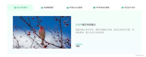 Vue 标签页配合el Progress进度条展示el Progress 展示左边 Csdn博客