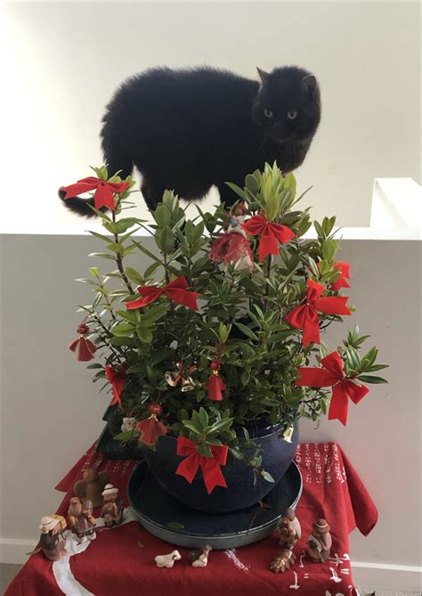 Writing In Old Age Changing Formats Topics Style And Purpose Write Into Life