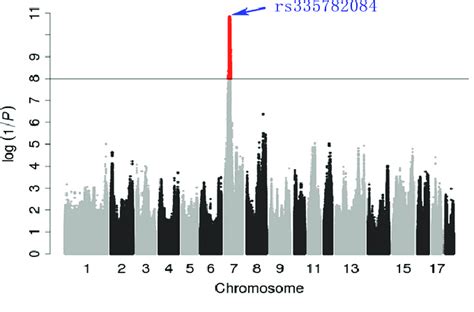 Manhattan Plot Of Association Results The X Axis Represents The Download Scientific Diagram