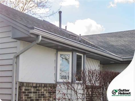 The Dangers Of Having Trees Near Your Home