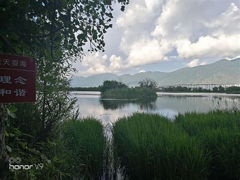 2024鹤庆草海游玩攻略 鹤庆草海湿地，云贵高原上的 【去哪儿攻略】