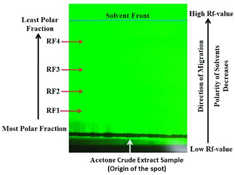 Tlc Uv Fractionation Of Crude S Triloba Acetone Extract Four