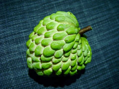 5744 Cb39 A709 4 A9 B B4 Dd 42042 E26 Aa51 1 201 A — Postimages