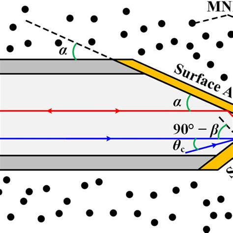 Sensing Structure Of The Wedge Shaped Spr Multimode Fiber Sensing Probe Download Scientific
