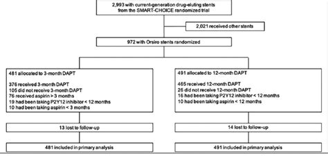 Participants Flow Dapt Indicates Dual Antiplatelet Therapy Download Scientific Diagram