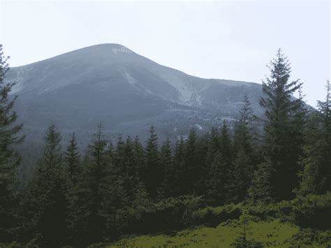 Чотири знаки Зодіаку розбагатіють до 25 серпня “біла смуга” та нове щастя Особлива