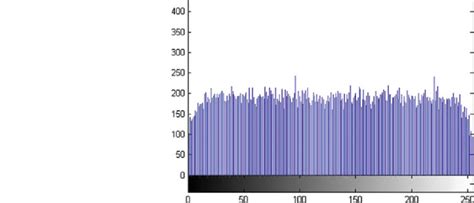 histogram final cipher image test case 1 download scientific diagram