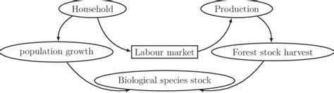 1 Synopsis Of The Population Forest Biodiversity Model Download