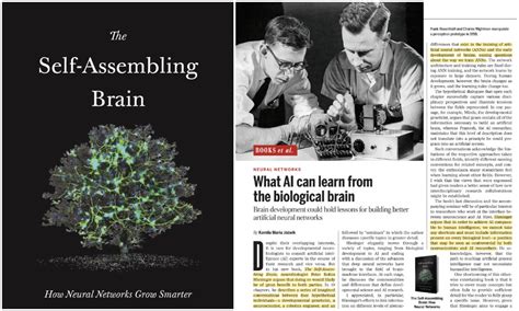 Book Reviews ‘the Self Assembling Brain The Future Benefits For Ai Boomers Daily