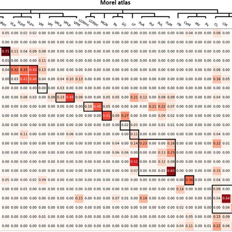 Dice Coefficient Between Group Level Segmented Vertical Axis Regions