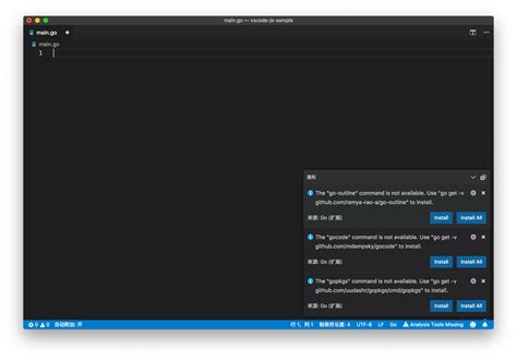 VSCode 支持Go 极客教程