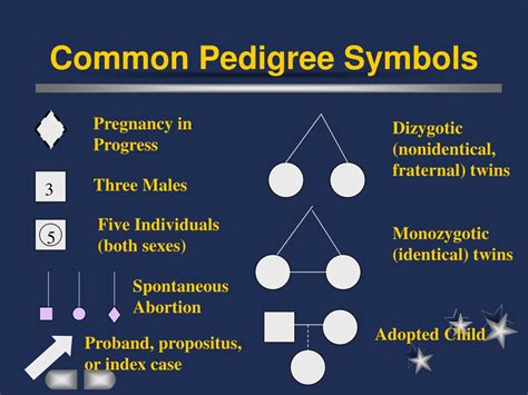Ppt Human Pedigree And Genetic Disease Powerpoint Presentation Free