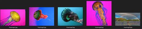 github rohit 5 generate dataset a python dataset script to extend