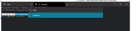 [1 7] tab indicators in the cmdpal aren t working sometimes · issue