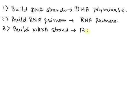 Solved Match The Following Functions To Each Of The Enzymes Listed