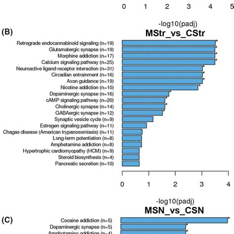 Identification Of The Degs In Five Brain Regions Between 6‐ohda Pd Rats