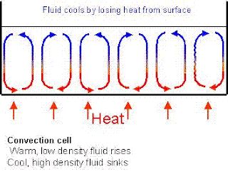 Physics Project 2 Convection