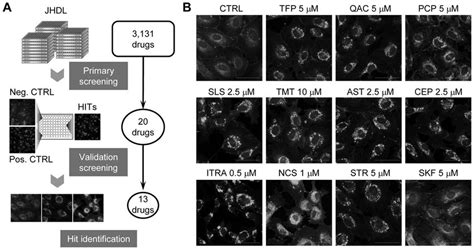Identification Of Cholesterol Trafficking Inhibitors In Endothelial