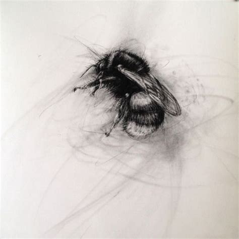 April Coppini（american） Buff Tailed Bumble Bee Queen Bumble Bee Tattoo Bee Art Bee Tattoo