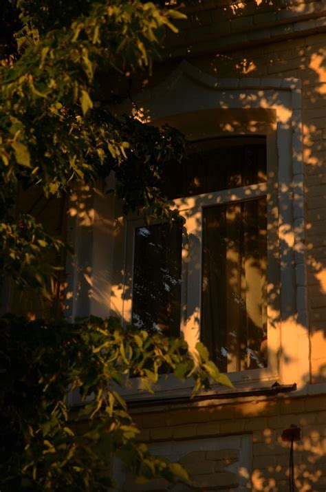 Теплый закат в 2025 г Закаты Пейзажи Тематические фотографии