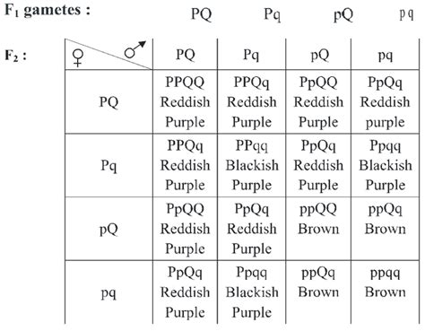 Class 12 Botany Lethal Genes