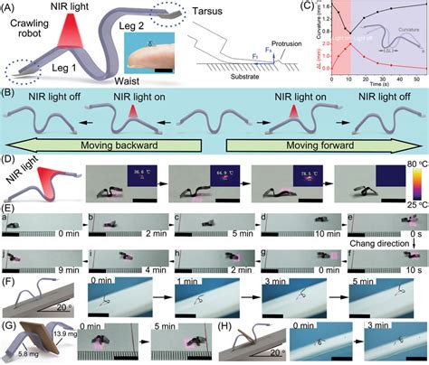 Application Of The Rm257‐fe Lce In Soft Robotics A Schematic Diagram Download Scientific