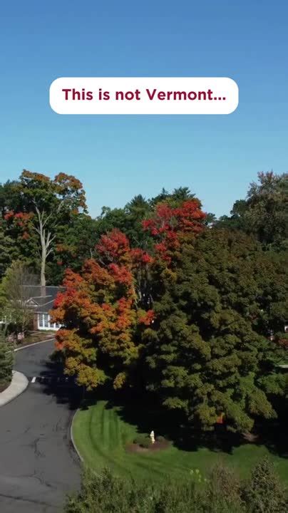 Jessica Dolan On Linkedin My Alma Mater The Campus Is So Beautiful This Time Of Year