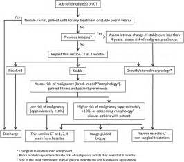 Chest Guidelines Pulmonary Nodules At Franklin Haley Blog
