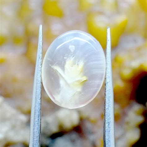 Mustika Bunga Api Pelet Perangsang Sex Pusaka Dunia