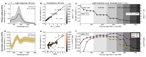Spectral Variance Within Individuals During Light Response Curve A D