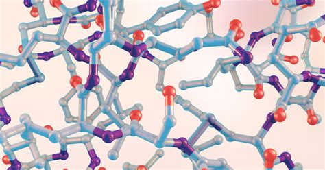 Molecular Scale Biophysics News Civis A European University Alliance