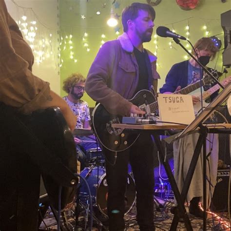 Mitigation Pond Ep Live At Outerspace Tsuga