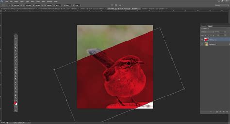 Solved How Do I Create This Please Adobe Product Community 12939065
