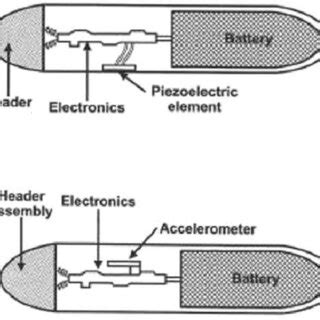 Scheme Of The Construction Of A Pulse Generator With A Built In Download Scientific Diagram