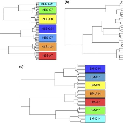 Hierarchical Clustering Plots Showing The Clustering Of The Basal