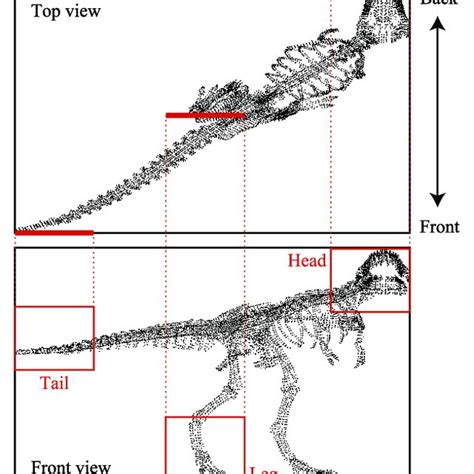 Three Dimensional 3d Model Composed Of Point Light Sources Plss Download Scientific Diagram